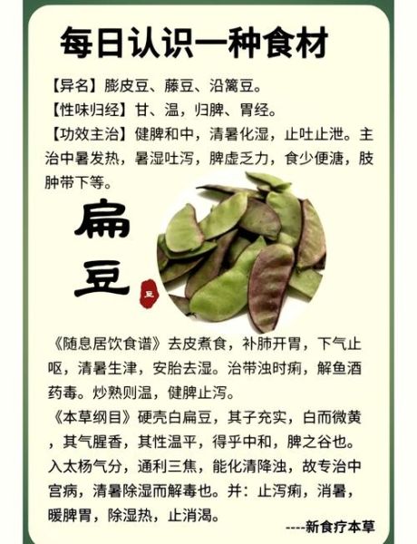 扁豆的功效与作用有哪些_扁豆主治什么病-第1张图片-山城妙识 扁豆的功效与作用有哪些_扁豆主治什么病-第1张图片-山城妙识