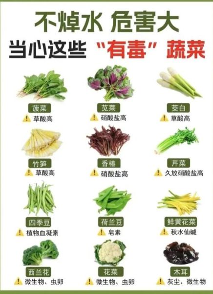 蔬菜的种类有哪些_不同蔬菜怎么保存-第2张图片-山城妙识 蔬菜的种类有哪些_不同蔬菜怎么保存-第2张图片-山城妙识