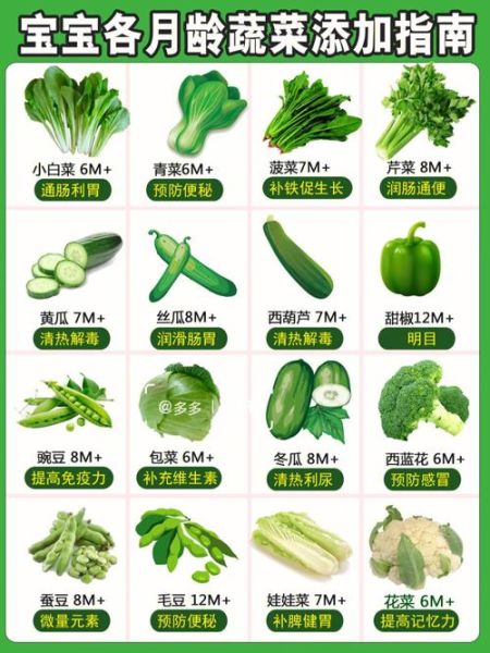 蔬菜的种类有哪些_不同蔬菜怎么保存-第3张图片-山城妙识 蔬菜的种类有哪些_不同蔬菜怎么保存-第3张图片-山城妙识