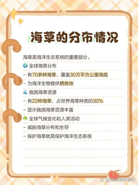 海草长什么样_海草怎么种植-第3张图片-山城妙识