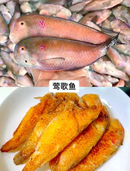 油炸海鱼怎么做才酥脆_油炸海鱼的做法大全-第1张图片-山城妙识