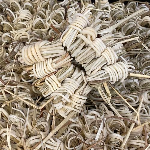 龙须草别名有哪些_龙须草与灯芯草区别-第3张图片-山城妙识