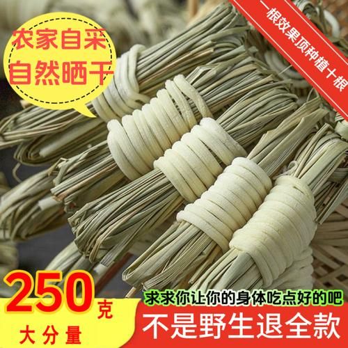 龙须草别名有哪些_龙须草与灯芯草区别-第2张图片-山城妙识