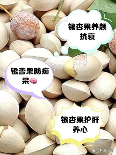 银杏仁的功效与作用禁忌_银杏仁怎么吃才安全-第1张图片-山城妙识 银杏仁的功效与作用禁忌_银杏仁怎么吃才安全-第1张图片-山城妙识