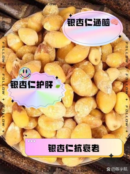 银杏仁的功效与作用禁忌_银杏仁怎么吃才安全-第2张图片-山城妙识 银杏仁的功效与作用禁忌_银杏仁怎么吃才安全-第2张图片-山城妙识
