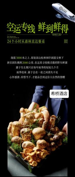 鲜松茸怎么吃_鲜松茸做法大全-第2张图片-山城妙识