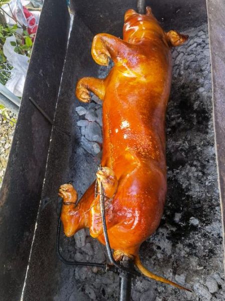 烤乳猪图片大全_正宗烤乳猪怎么做-第1张图片-山城妙识 烤乳猪图片大全_正宗烤乳猪怎么做-第1张图片-山城妙识