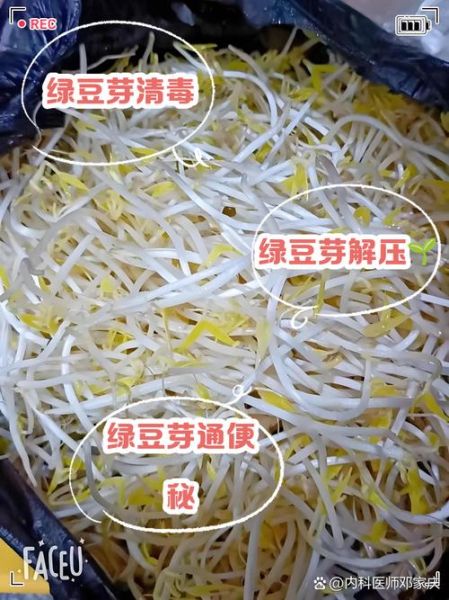 绿豆芽菜怎么保存_绿豆芽菜的营养价值-第1张图片-山城妙识 绿豆芽菜怎么保存_绿豆芽菜的营养价值-第1张图片-山城妙识