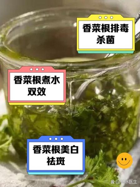 香菜煮水的功效与作用_香菜煮水能天天喝吗-第2张图片-山城妙识 香菜煮水的功效与作用_香菜煮水能天天喝吗-第2张图片-山城妙识