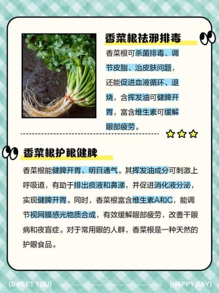 香菜煮水的功效与作用_香菜煮水能天天喝吗-第1张图片-山城妙识 香菜煮水的功效与作用_香菜煮水能天天喝吗-第1张图片-山城妙识