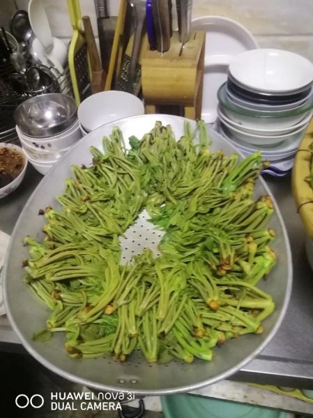腌制香椿芽怎么做才好吃_香椿芽腌制多久能吃-第3张图片-山城妙识 腌制香椿芽怎么做才好吃_香椿芽腌制多久能吃-第3张图片-山城妙识