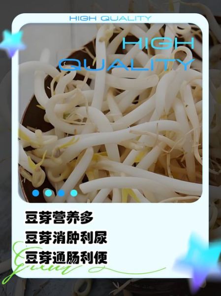 绿豆芽菜怎么保存_绿豆芽菜的营养价值-第3张图片-山城妙识 绿豆芽菜怎么保存_绿豆芽菜的营养价值-第3张图片-山城妙识