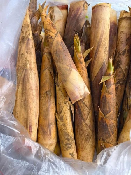 四川美食有哪些菜_四川必吃经典菜-第2张图片-山城妙识 四川美食有哪些菜_四川必吃经典菜-第2张图片-山城妙识