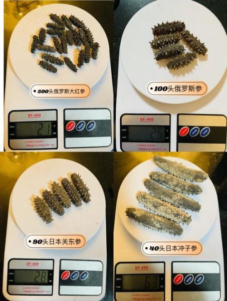 海参怎么泡发最好最快_海参泡发需要多长时间-第1张图片-山城妙识 海参怎么泡发最好最快_海参泡发需要多长时间-第1张图片-山城妙识