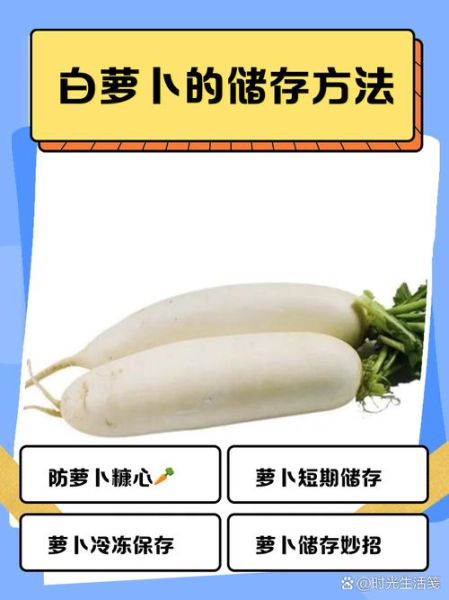 大萝卜怎么保存不糠心_大萝卜适合什么人吃-第1张图片-山城妙识 大萝卜怎么保存不糠心_大萝卜适合什么人吃-第1张图片-山城妙识