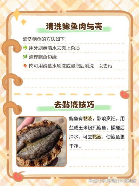 鲍鱼怎么吃_鲍鱼怎么清洗-第1张图片-山城妙识 鲍鱼怎么吃_鲍鱼怎么清洗-第1张图片-山城妙识