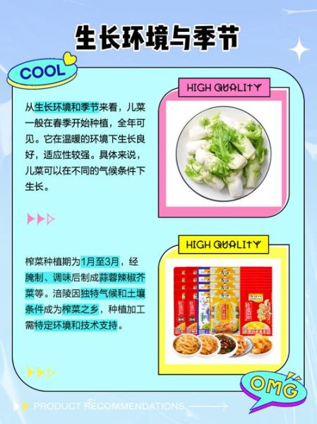 儿菜是榨菜吗_儿菜和榨菜的区别-第1张图片-山城妙识 儿菜是榨菜吗_儿菜和榨菜的区别-第1张图片-山城妙识