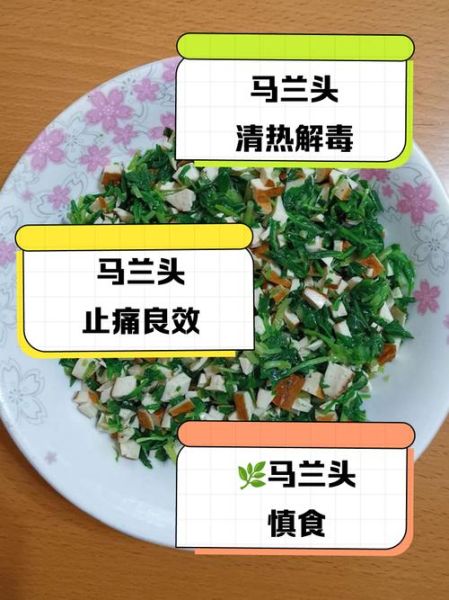 马兰头吃多了会中毒吗_马兰头食用安全指南-第1张图片-山城妙识 马兰头吃多了会中毒吗_马兰头食用安全指南-第1张图片-山城妙识