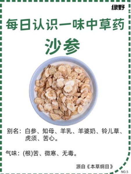 沙参的功效与作用_沙参主治什么病-第2张图片-山城妙识 沙参的功效与作用_沙参主治什么病-第2张图片-山城妙识