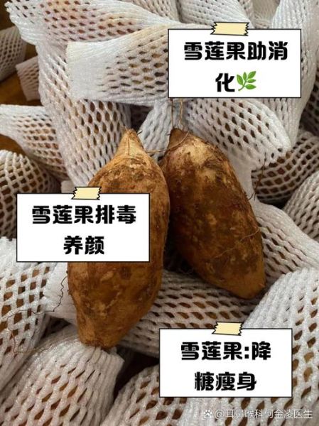 雪莲果怎么吃减肥快_雪莲果减肥的正确吃法-第2张图片-山城妙识 雪莲果怎么吃减肥快_雪莲果减肥的正确吃法-第2张图片-山城妙识