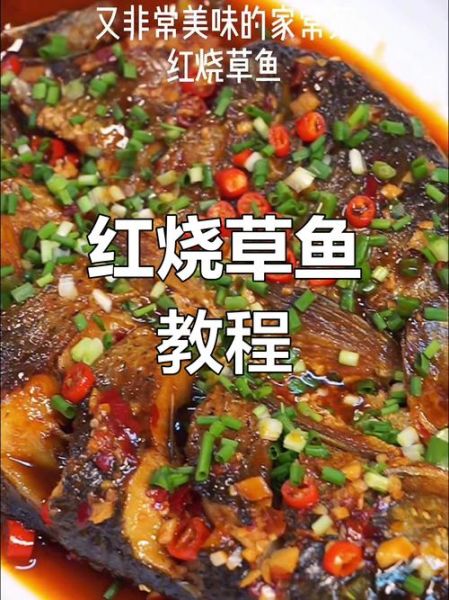 草鱼怎么红烧好吃又简单_家常红烧草鱼做法-第2张图片-山城妙识 草鱼怎么红烧好吃又简单_家常红烧草鱼做法-第2张图片-山城妙识