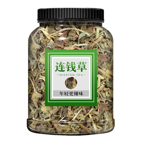 连钱草图片长什么样_如何辨别真假连钱草-第3张图片-山城妙识 连钱草图片长什么样_如何辨别真假连钱草-第3张图片-山城妙识