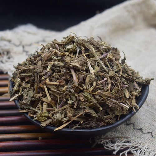 连钱草图片长什么样_如何辨别真假连钱草-第2张图片-山城妙识 连钱草图片长什么样_如何辨别真假连钱草-第2张图片-山城妙识