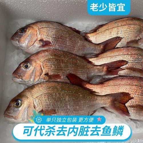 铜盆鱼是什么鱼_铜盆鱼多少钱一斤-第1张图片-山城妙识 铜盆鱼是什么鱼_铜盆鱼多少钱一斤-第1张图片-山城妙识