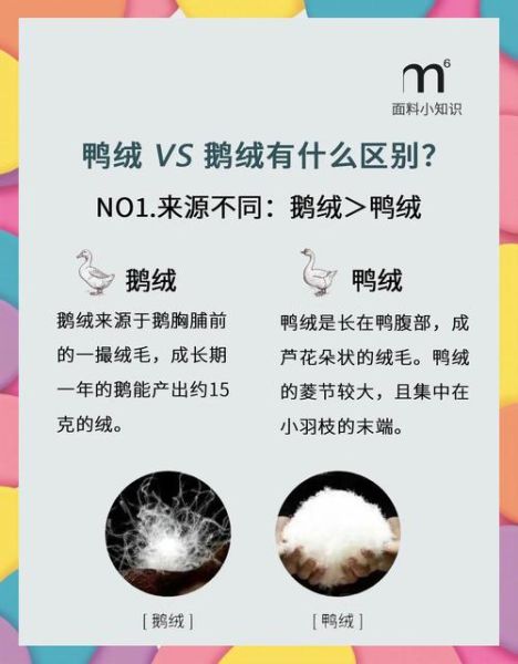 白鸭绒和白鹅绒哪个更保暖_白鸭绒和白鹅绒的区别-第2张图片-山城妙识 白鸭绒和白鹅绒哪个更保暖_白鸭绒和白鹅绒的区别-第2张图片-山城妙识