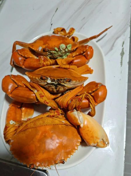 清蒸青蟹怎么蒸不腥_清蒸青蟹蒸多久最佳-第1张图片-山城妙识 清蒸青蟹怎么蒸不腥_清蒸青蟹蒸多久最佳-第1张图片-山城妙识