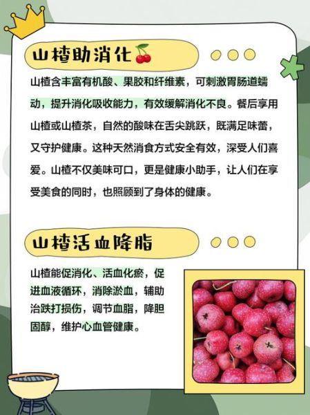 吃山楂的好处和坏处_山楂吃多了会怎样-第3张图片-山城妙识 吃山楂的好处和坏处_山楂吃多了会怎样-第3张图片-山城妙识