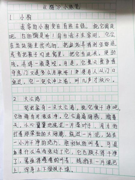 杨猫博客怎么写_杨猫博客写作技巧-第2张图片-山城妙识 杨猫博客怎么写_杨猫博客写作技巧-第2张图片-山城妙识