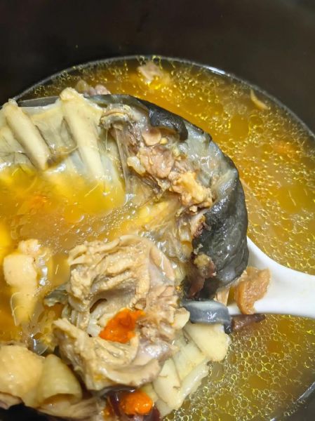 甲鱼炖鸡汤的做法_孕妇能吃吗-第3张图片-山城妙识 甲鱼炖鸡汤的做法_孕妇能吃吗-第3张图片-山城妙识