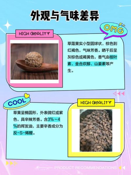 草果与草寇的区别_草果与草寇的功效与作用-第1张图片-山城妙识 草果与草寇的区别_草果与草寇的功效与作用-第1张图片-山城妙识