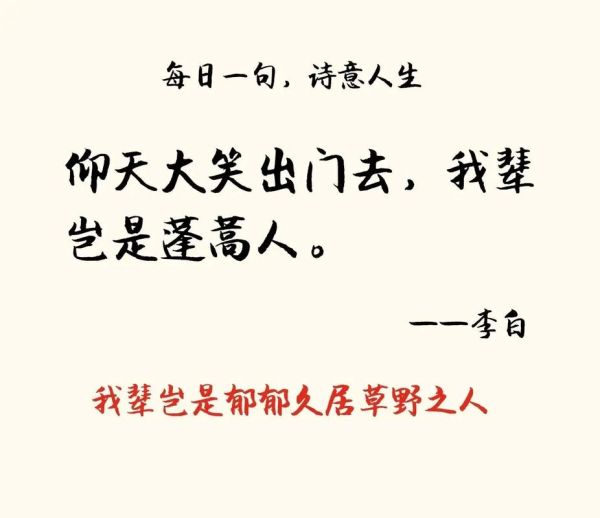 岂是蓬蒿人是什么意思_出自哪首诗-第1张图片-山城妙识 岂是蓬蒿人是什么意思_出自哪首诗-第1张图片-山城妙识