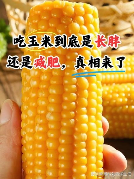 吃玉米会长胖吗_吃玉米能减肥吗-第1张图片-山城妙识 吃玉米会长胖吗_吃玉米能减肥吗-第1张图片-山城妙识