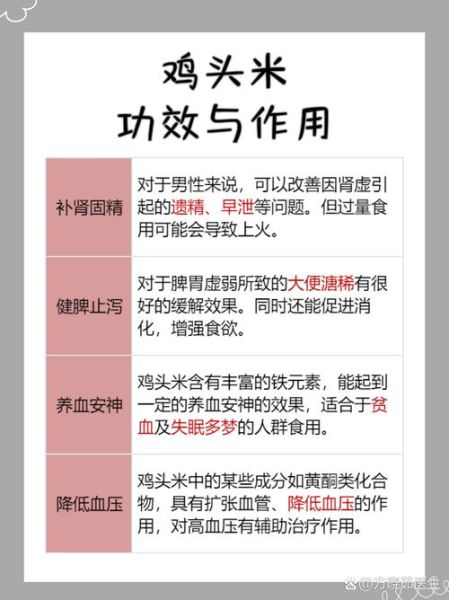 鸡头米什么人不能吃_鸡头米禁忌人群有哪些-第1张图片-山城妙识 鸡头米什么人不能吃_鸡头米禁忌人群有哪些-第1张图片-山城妙识