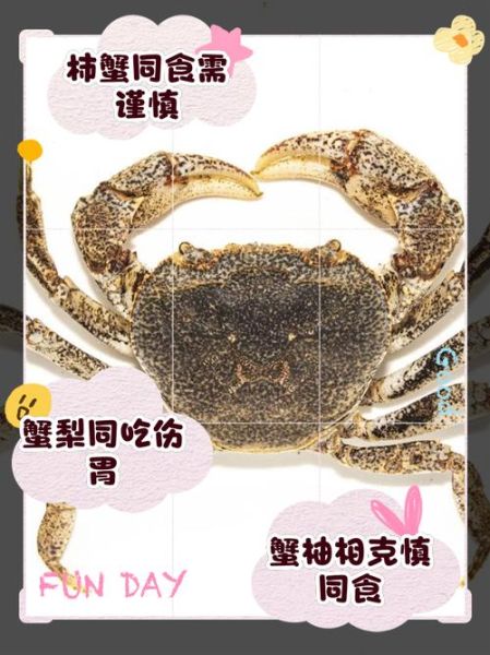 螃蟹不能和什么水果一起吃_吃螃蟹后多久能吃水果-第1张图片-山城妙识