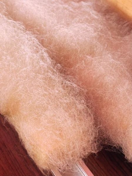 霉豆腐怎么保存_霉豆腐长白毛还能吃吗-第3张图片-山城妙识 霉豆腐怎么保存_霉豆腐长白毛还能吃吗-第3张图片-山城妙识