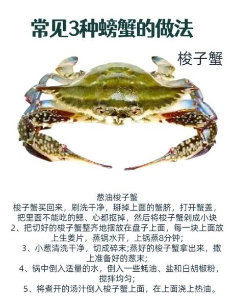 青蟹怎么清蒸_青蟹怎么吃最好吃-第1张图片-山城妙识