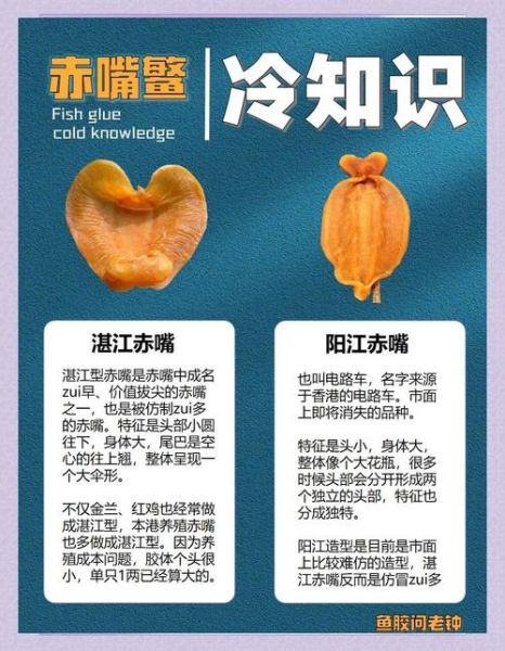 鳘鱼胶的功效与作用_鳘鱼胶怎么吃效果最好-第1张图片-山城妙识