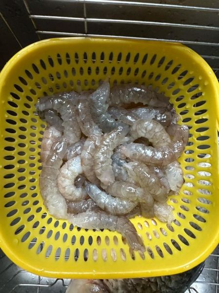 虾仁馄饨怎么包_虾仁馄饨汤头怎么做-第1张图片-山城妙识