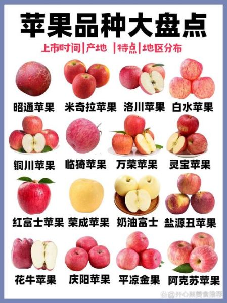 苹果怎么挑选_苹果品种有哪些-第1张图片-山城妙识 苹果怎么挑选_苹果品种有哪些-第1张图片-山城妙识