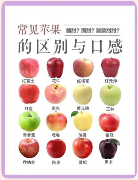 苹果怎么挑选_苹果品种有哪些-第2张图片-山城妙识 苹果怎么挑选_苹果品种有哪些-第2张图片-山城妙识