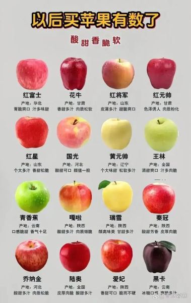 苹果怎么挑选_苹果品种有哪些-第3张图片-山城妙识 苹果怎么挑选_苹果品种有哪些-第3张图片-山城妙识