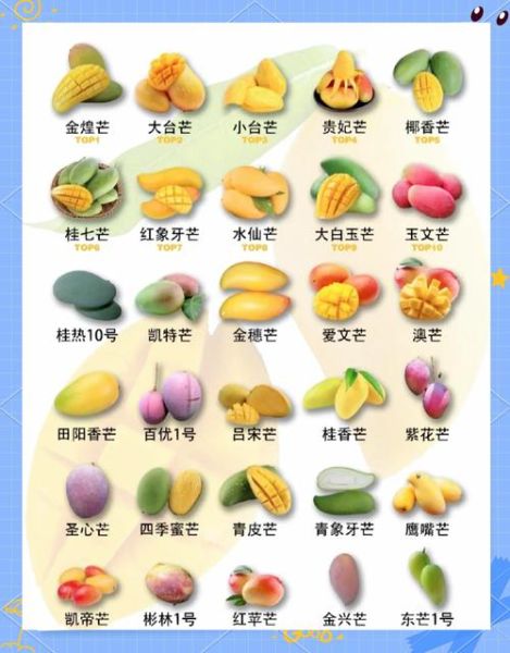 青芒果怎么算熟_青芒果熟了才能吃吗-第3张图片-山城妙识