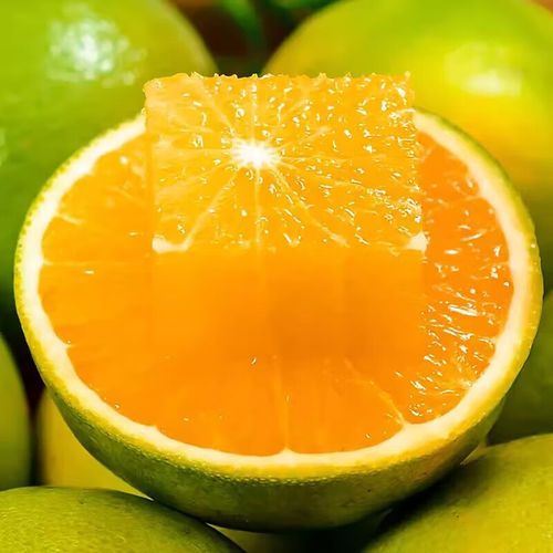 麻阳冰糖橙哪里正宗_麻阳冰糖橙为什么甜-第3张图片-山城妙识 麻阳冰糖橙哪里正宗_麻阳冰糖橙为什么甜-第3张图片-山城妙识