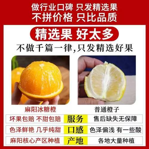 麻阳冰糖橙哪里正宗_麻阳冰糖橙为什么甜-第1张图片-山城妙识 麻阳冰糖橙哪里正宗_麻阳冰糖橙为什么甜-第1张图片-山城妙识