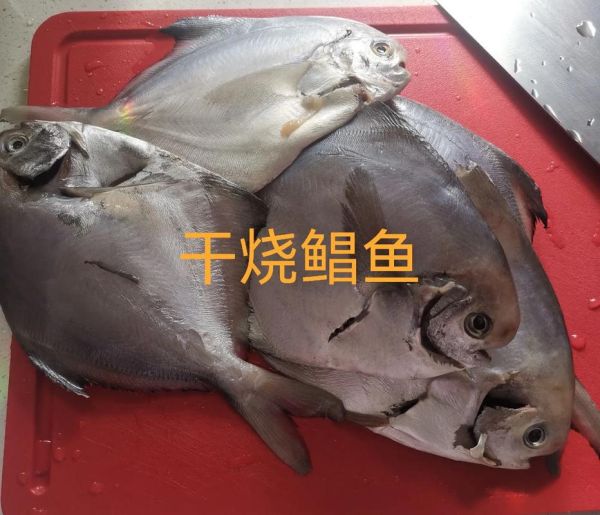 干烧鲳鱼怎么做_干烧鲳鱼用什么配料-第2张图片-山城妙识 干烧鲳鱼怎么做_干烧鲳鱼用什么配料-第2张图片-山城妙识