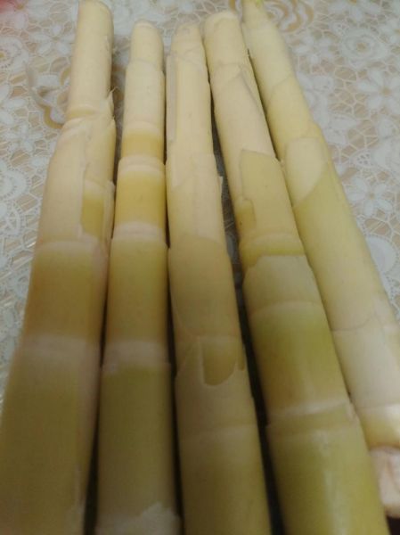 春笋图片高清图_如何挑选新鲜春笋-第2张图片-山城妙识 春笋图片高清图_如何挑选新鲜春笋-第2张图片-山城妙识